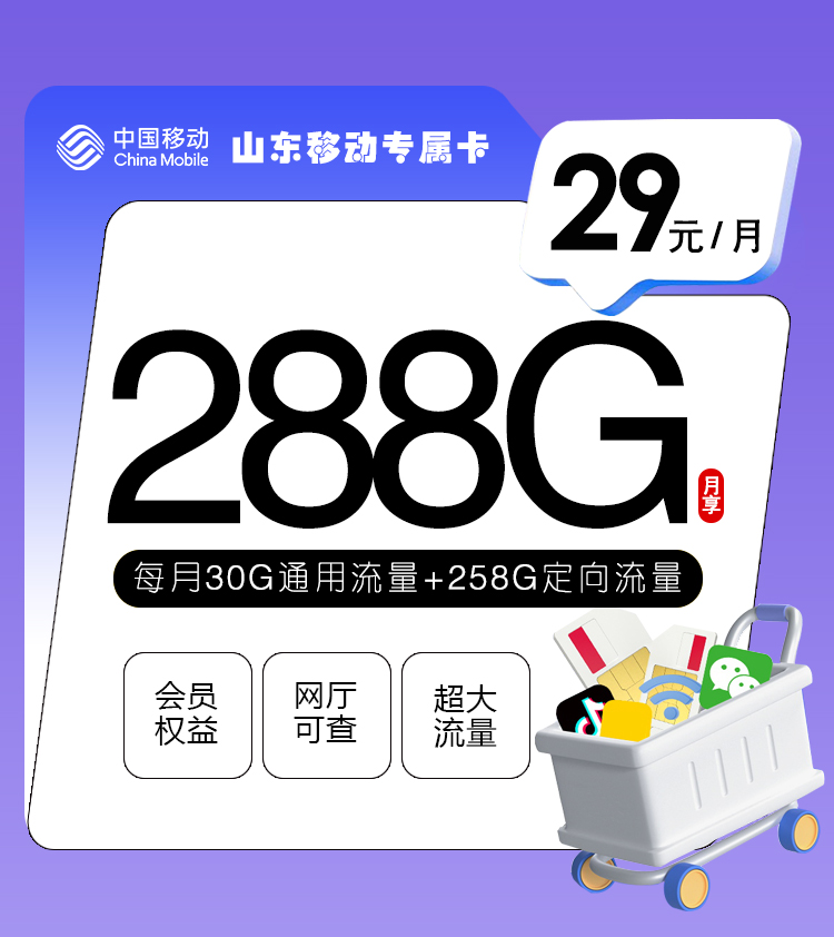 山东移动专属卡【29元288G】-172号卡分销系统官网 17299.cn